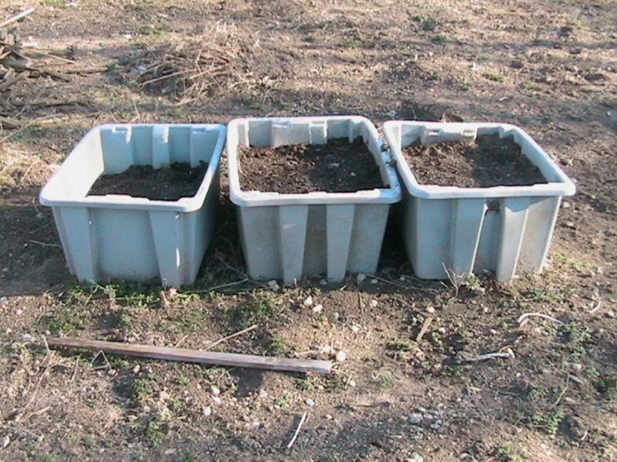 Start Planting Onions in Totes Today For Your Best Harvest of the ...